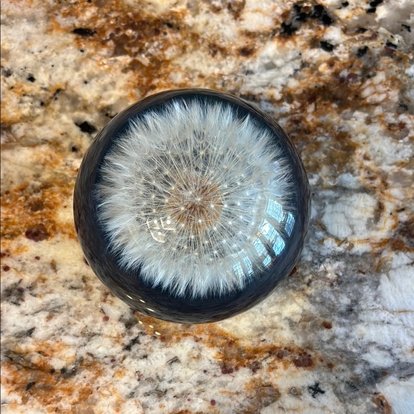tarax | Art | Vintage Tarax Infinity Dandelion Seed Puff Paperweight ...